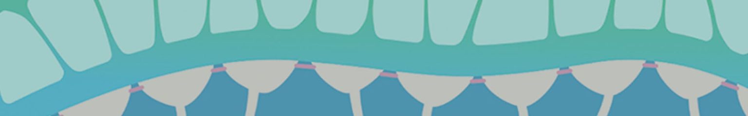 Fascia Books & Products – The Barral Institute